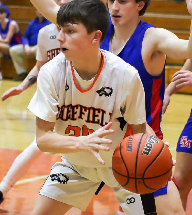 Swarmed | News, Sports, Jobs - Times Observer